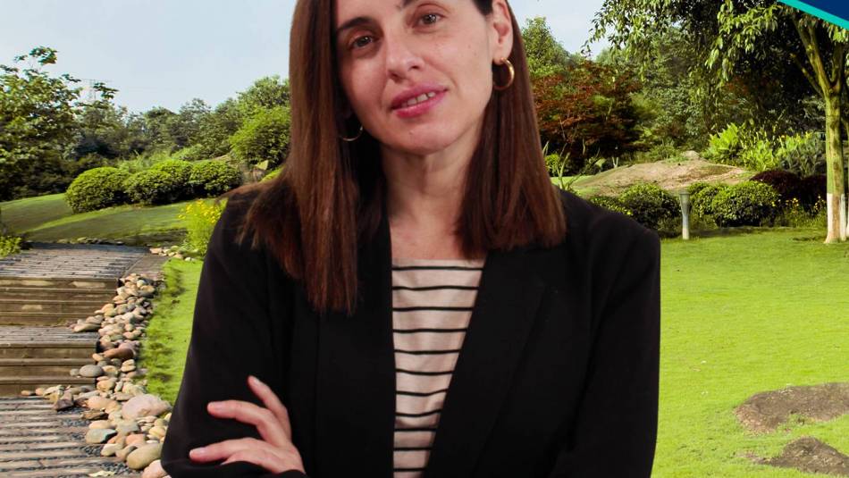 Alumnos de Arquitectura UDD elaboran actualización del plano regulador ...